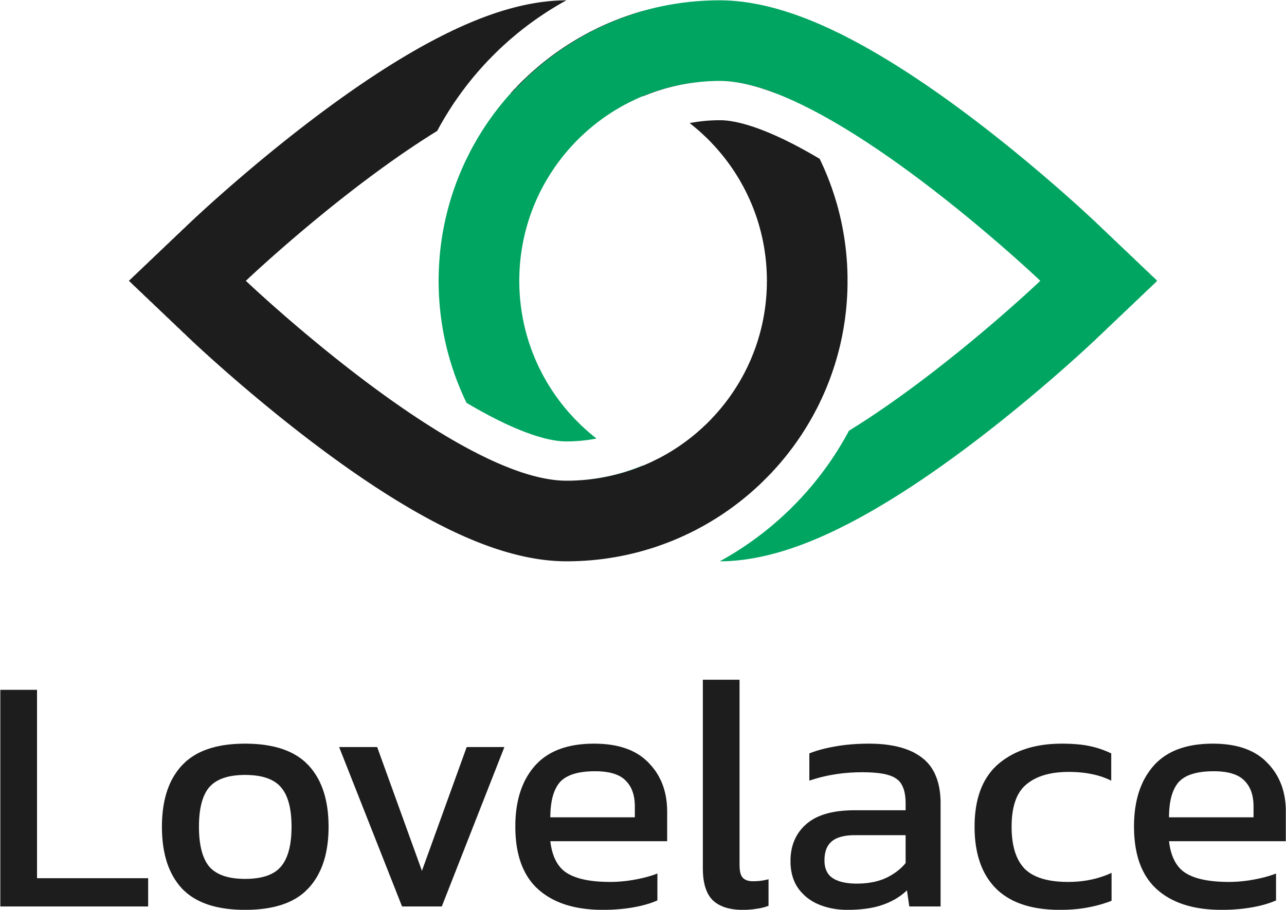 Home - Lovelace AI